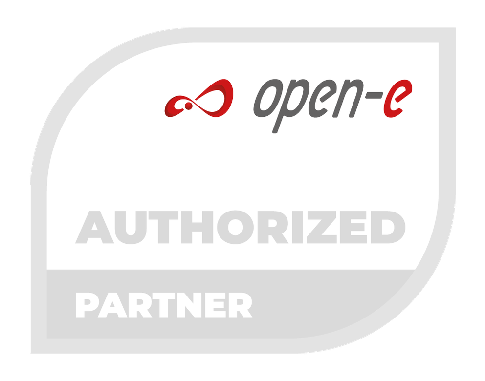 Overview of Open-E Partner Program | Data Storage Partnership