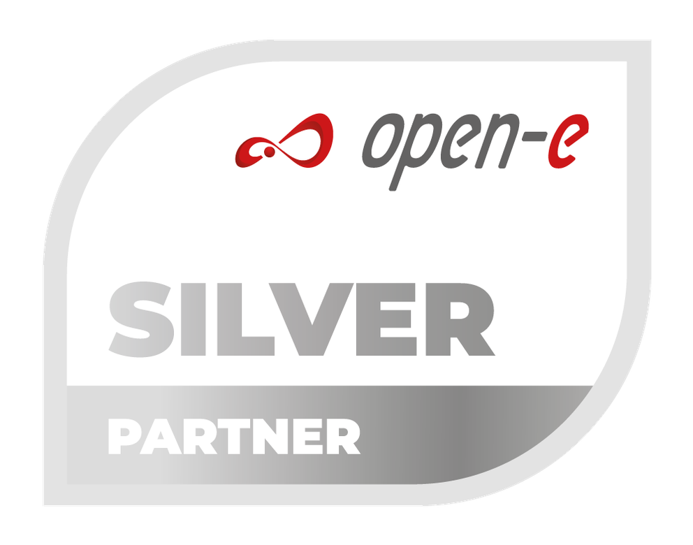 Overview of Open-E Partner Program | Data Storage Partnership